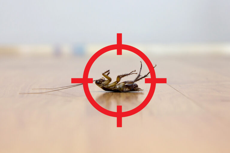 S&P Tree Service | Dallas, Fort Worth & Austin Areas | Pest Control ...