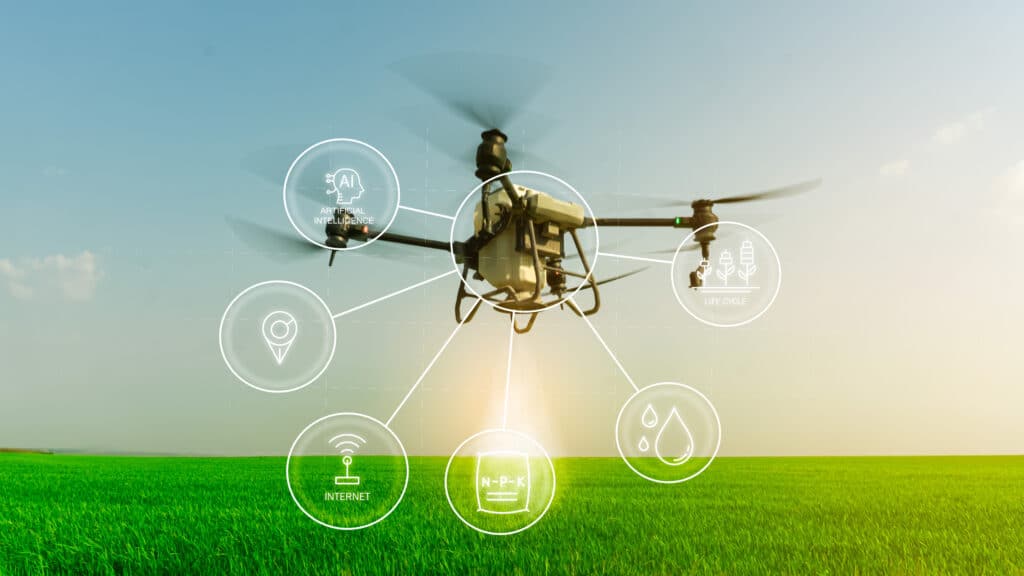 What Drone Tree Care Can Do | S&P Tree Service